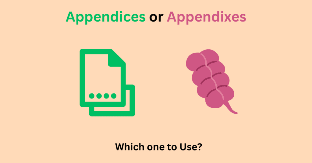 Appendices or Appendixes? Clarifying Usage | Grammar Palette