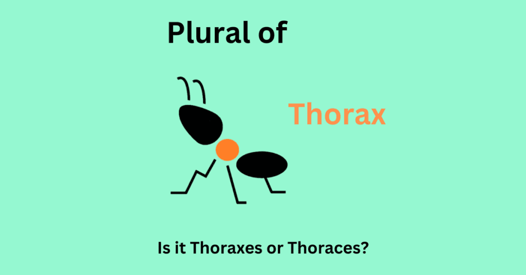What Are The Plurals Of Ox And Fox Why Oxen And Foxes