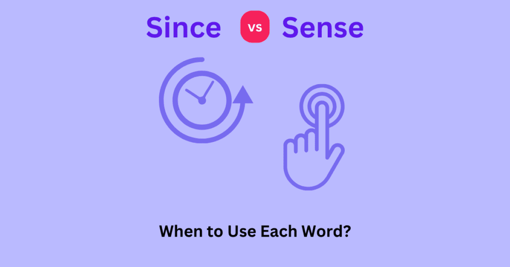 Since vs Sense: Understanding When to Use Each Word | Grammar Palette
