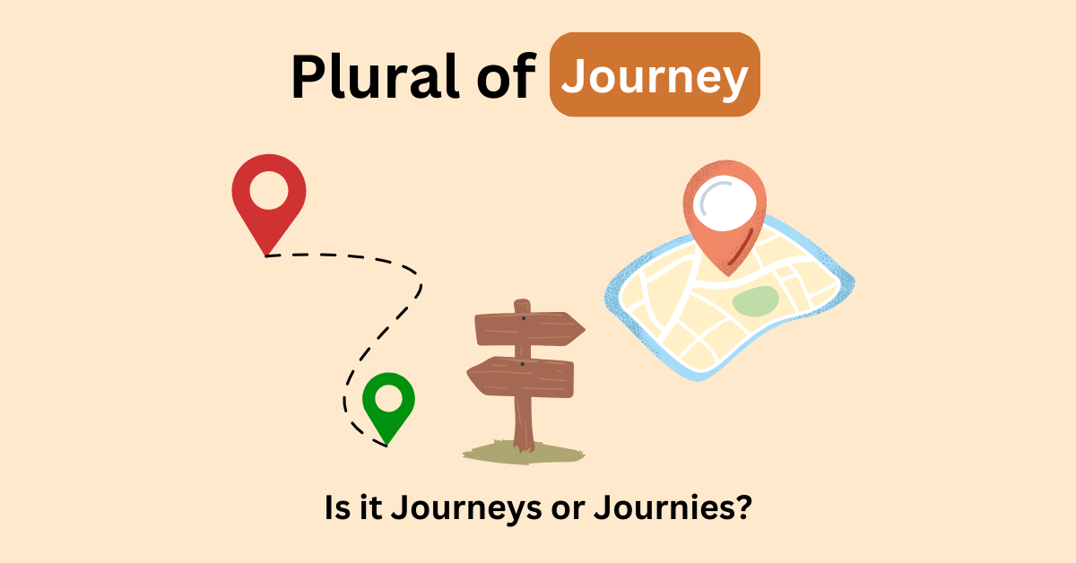 What's the Plural of Thorax? Is it Thoraxes or Thoraces?
